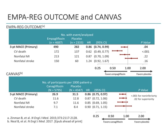 Emerging CVOT Data and Clinical Applications (Transcript)