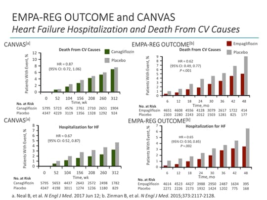 Emerging CVOT Data and Clinical Applications (Transcript)