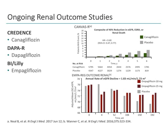 Emerging CVOT Data and Clinical Applications (Transcript)
