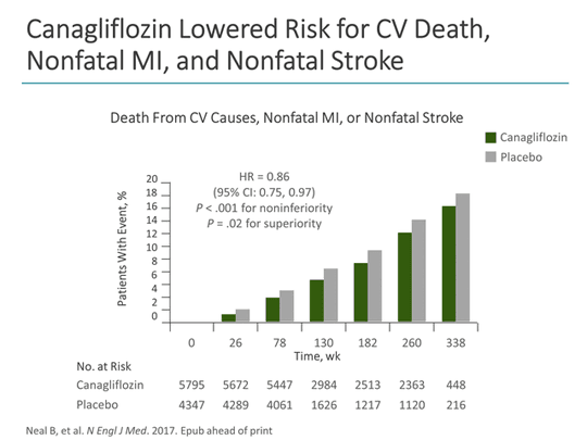 Emerging CVOT Data and Clinical Applications (Transcript)