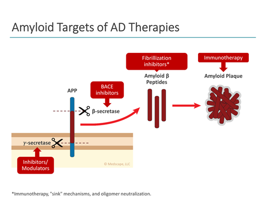 New Therapies in Alzheimer's Disease: A Review of the Similarities and ...