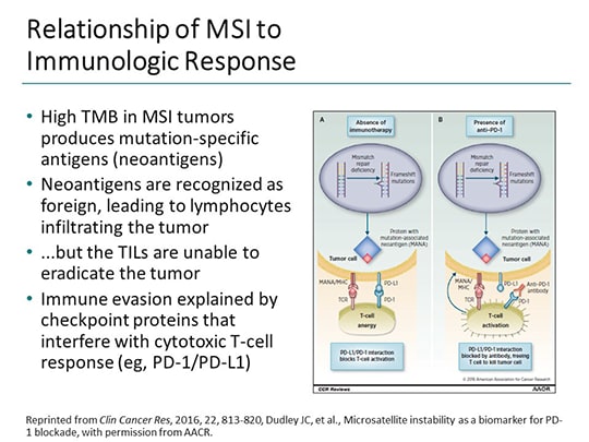 Emerging Considerations in the Use of Immune Checkpoint Inhibitors: What is MSI?