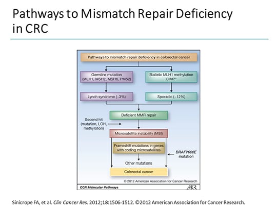 Emerging Considerations in the Use of Immune Checkpoint Inhibitors: What is MSI?
