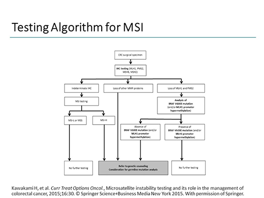 Emerging Considerations in the Use of Immune Checkpoint Inhibitors: What is MSI?