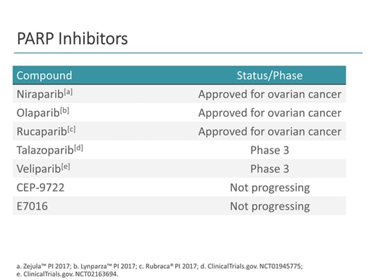 PARP Inhibitors and Breast Cancer: What Do You Need to Know? (Transcript)