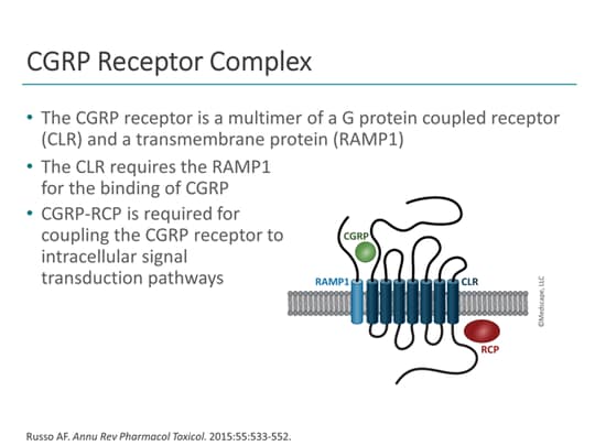 Patient and Clinician Perspectives on Preventive Therapy for Migraine ...