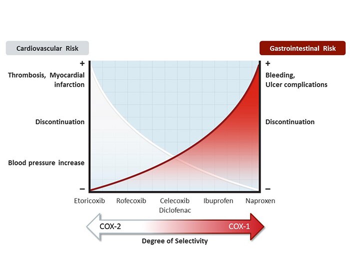 Osteoarthritis Pain Relief Options: Evidence and Perspectives