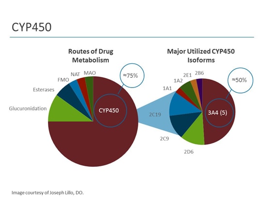 PCP View: ACC/AHA Guidelines: Role of Moderate Intensity Statins ...