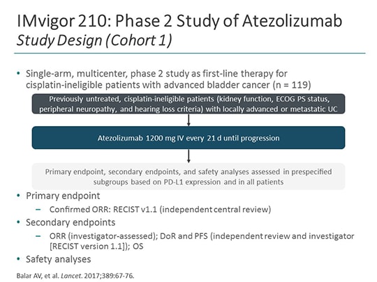 Essential Concepts in the Use of Cancer Immunotherapies in Bladder ...