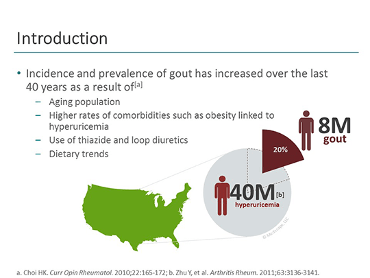 Treat to Target in Gout: A Fundamental Approach to Clinical Challenges