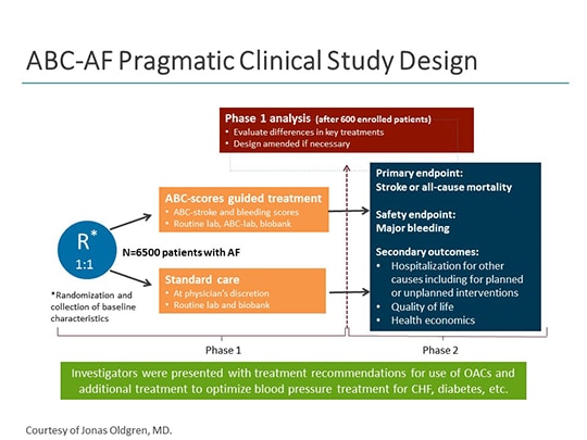The ABCs of AF: An Update on Risk Scores to Predict Bleeding (Transcript)