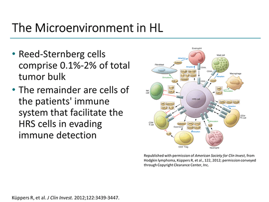 The Emerging Role of Immunotherapy in Hodgkin Lymphoma