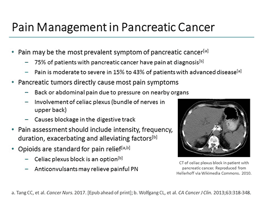 The Nurse View: Care of Patients With Advanced Pancreatic Adenocarcinoma