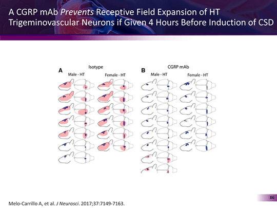 Understanding the Spectrum of Frequent Migraine: Current and Future ...