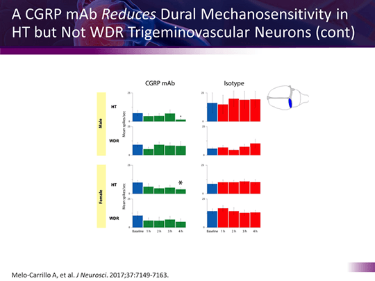 Understanding the Spectrum of Frequent Migraine: Current and Future ...