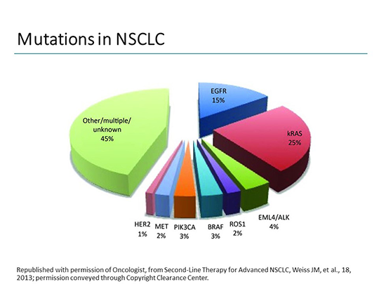 Optimizing Outcomes in Advanced NSCLC (Transcript)