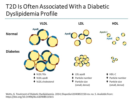 Updates and Perspectives in Diabetic Dyslipidemia: 2017 in Review