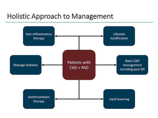 New Perspectives in CAD and PAD: Weighing the Latest Evidence (Transcript)