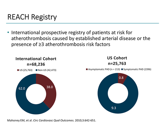 New Perspectives in CAD and PAD: Weighing the Latest Evidence (Transcript)