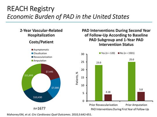 New Perspectives in CAD and PAD: Weighing the Latest Evidence (Transcript)