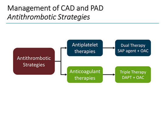 New Perspectives in CAD and PAD: Weighing the Latest Evidence (Transcript)