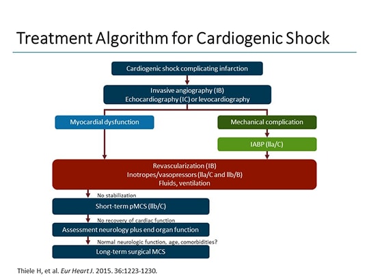 The Clinical Enigma of Cardiogenic Shock: The Importance of Early ...