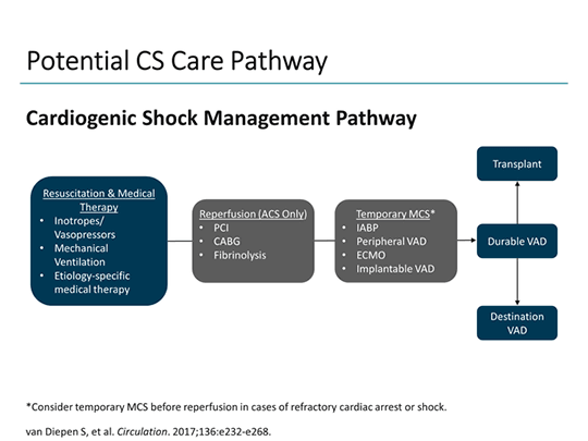 The Clinical Enigma of Cardiogenic Shock: The Importance of Early ...