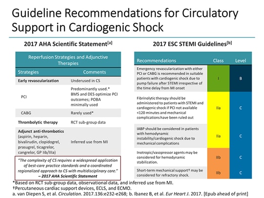 The Clinical Enigma of Cardiogenic Shock: The Importance of Early ...