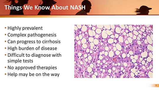 Keeping Up With Developments in NASH: Addressing Gaps in the Continuum ...