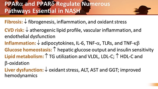 Keeping Up With Developments in NASH: Addressing Gaps in the Continuum ...