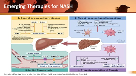 Keeping Up With Developments in NASH: Addressing Gaps in the Continuum ...