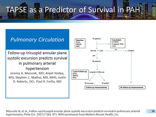 Advances Across the PAH Disease Spectrum: Implications for Clinical ...