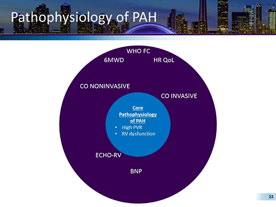 Advances Across the PAH Disease Spectrum: Implications for Clinical ...