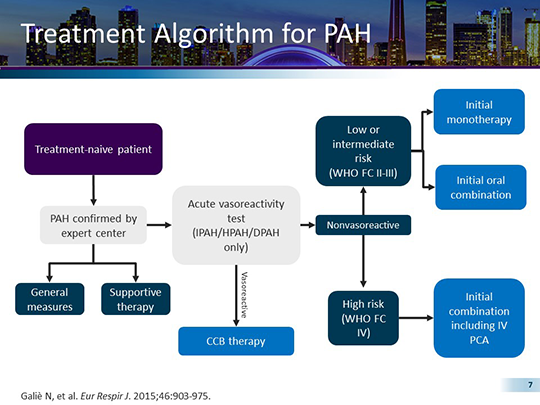 Advances Across the PAH Disease Spectrum: Implications for Clinical ...