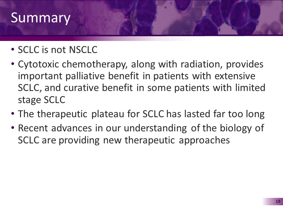 What's New in SCLC? Assessing Emerging Therapeutic Options (Transcript)