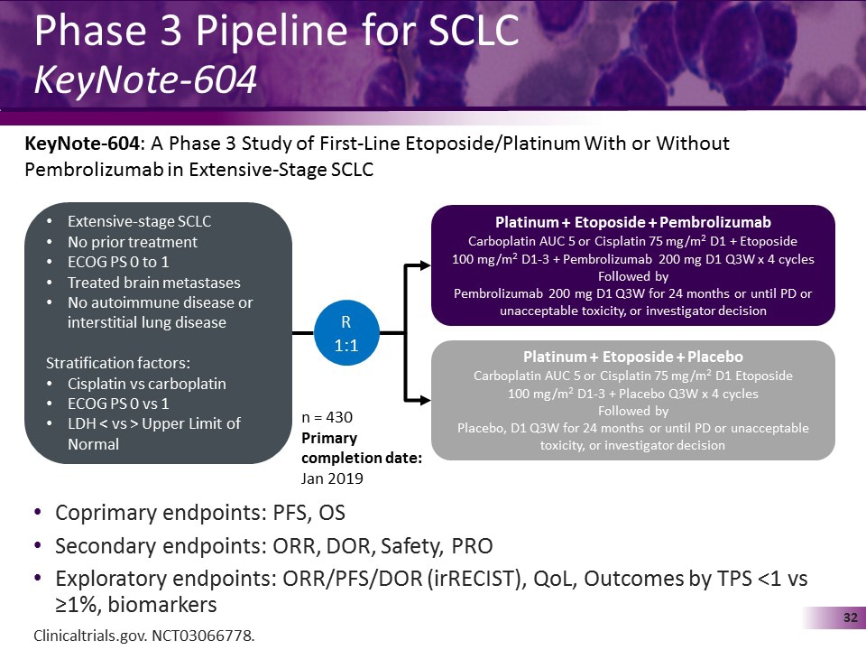 What's New in SCLC? Assessing Emerging Therapeutic Options (Transcript)