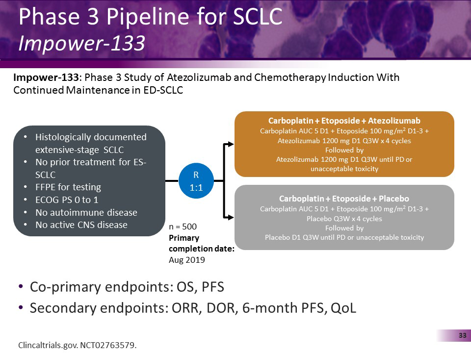 What's New in SCLC? Assessing Emerging Therapeutic Options (Transcript)