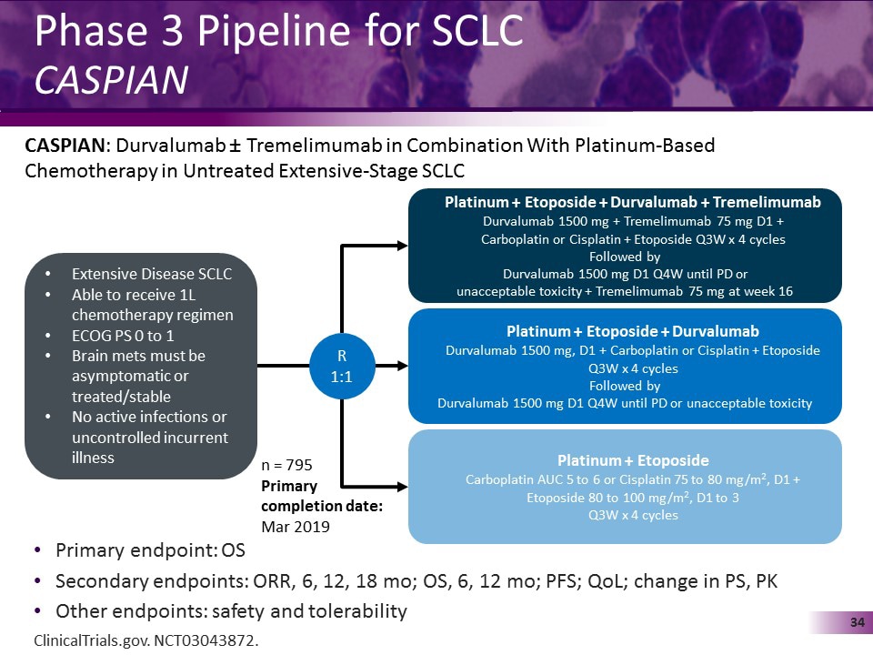 What's New in SCLC? Assessing Emerging Therapeutic Options (Transcript)