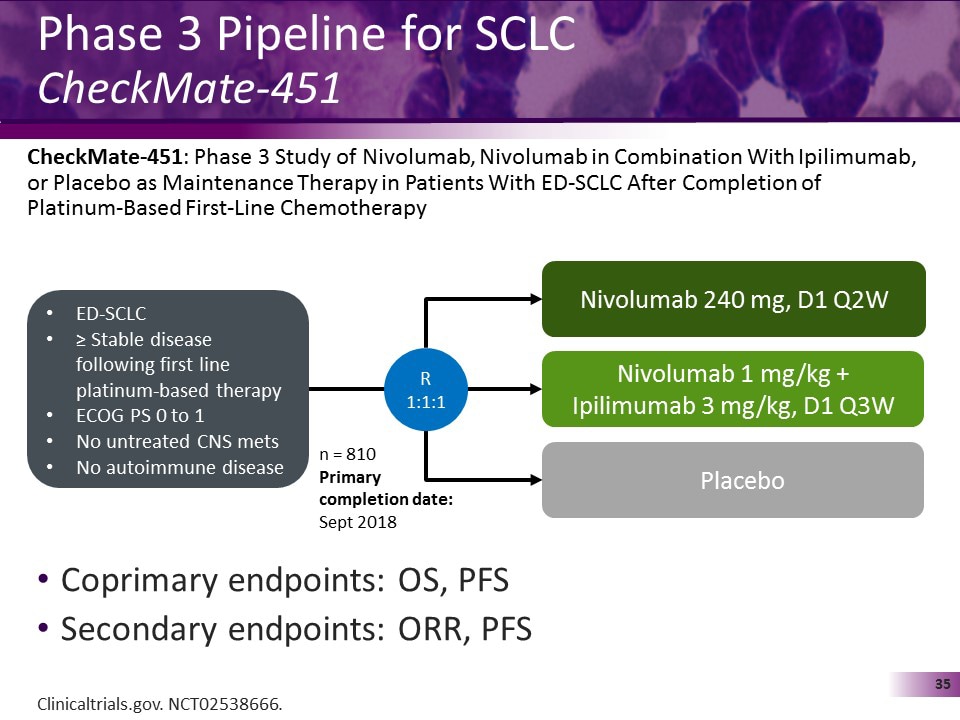 What's New in SCLC? Assessing Emerging Therapeutic Options (Transcript)