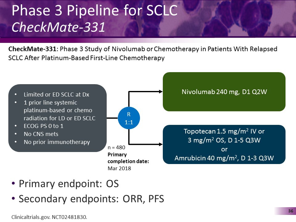 What's New in SCLC? Assessing Emerging Therapeutic Options (Transcript)