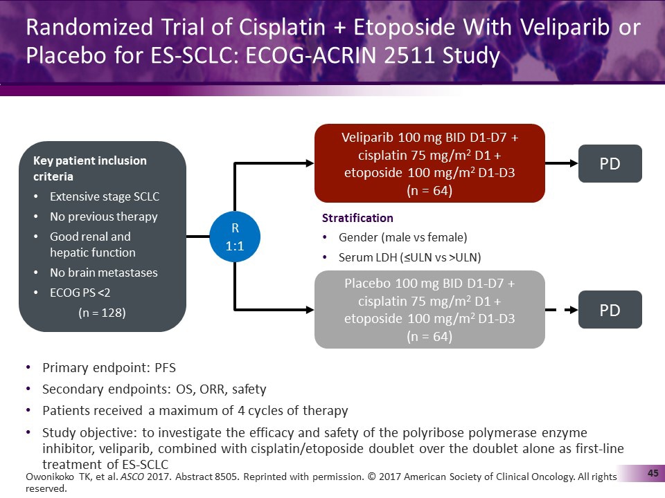 What's New in SCLC? Assessing Emerging Therapeutic Options (Transcript)