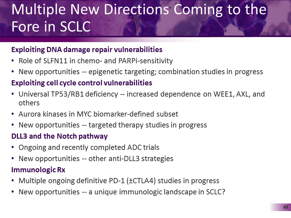 What's New in SCLC? Assessing Emerging Therapeutic Options (Transcript)