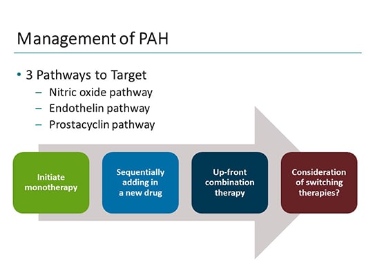 Highlights of the Latest Advances in PAH