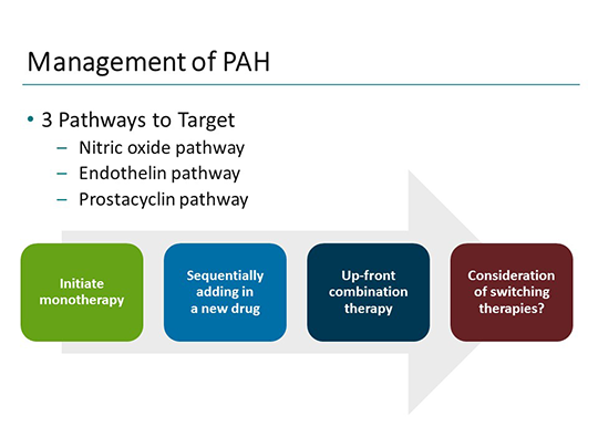 Highlights of the Latest Advances in PAH