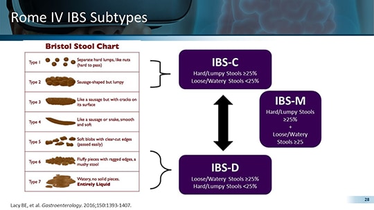 Virtual Journey Through IBS-D (Transcript)