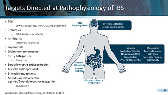 Virtual Journey Through IBS-D (Transcript)