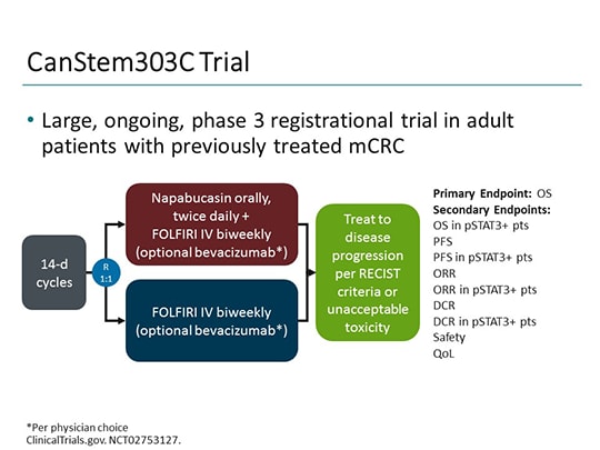 Cancer Stem Cell Therapies in Gastrointestinal Cancers: Where Might ...