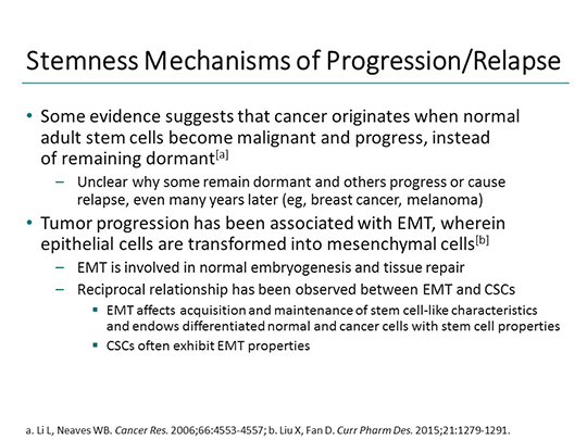 Cancer Stem Cell Therapies in Gastrointestinal Cancers: Where Might ...