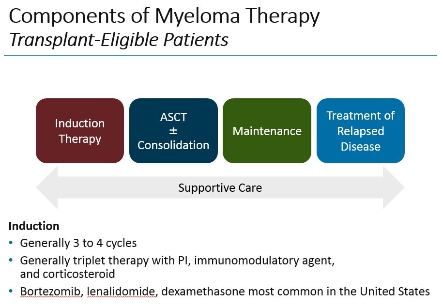 Clinical Decision-Making in Multiple Myeloma: Maintenance Therapy