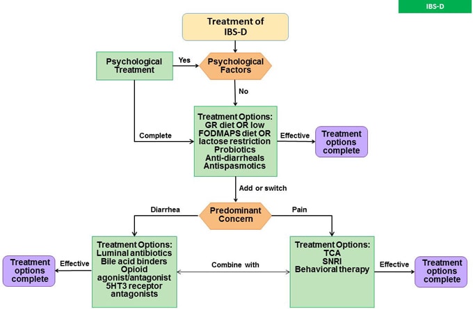 Diagnosing and Treating IBS: Translating Rome IV for GI and Primary ...